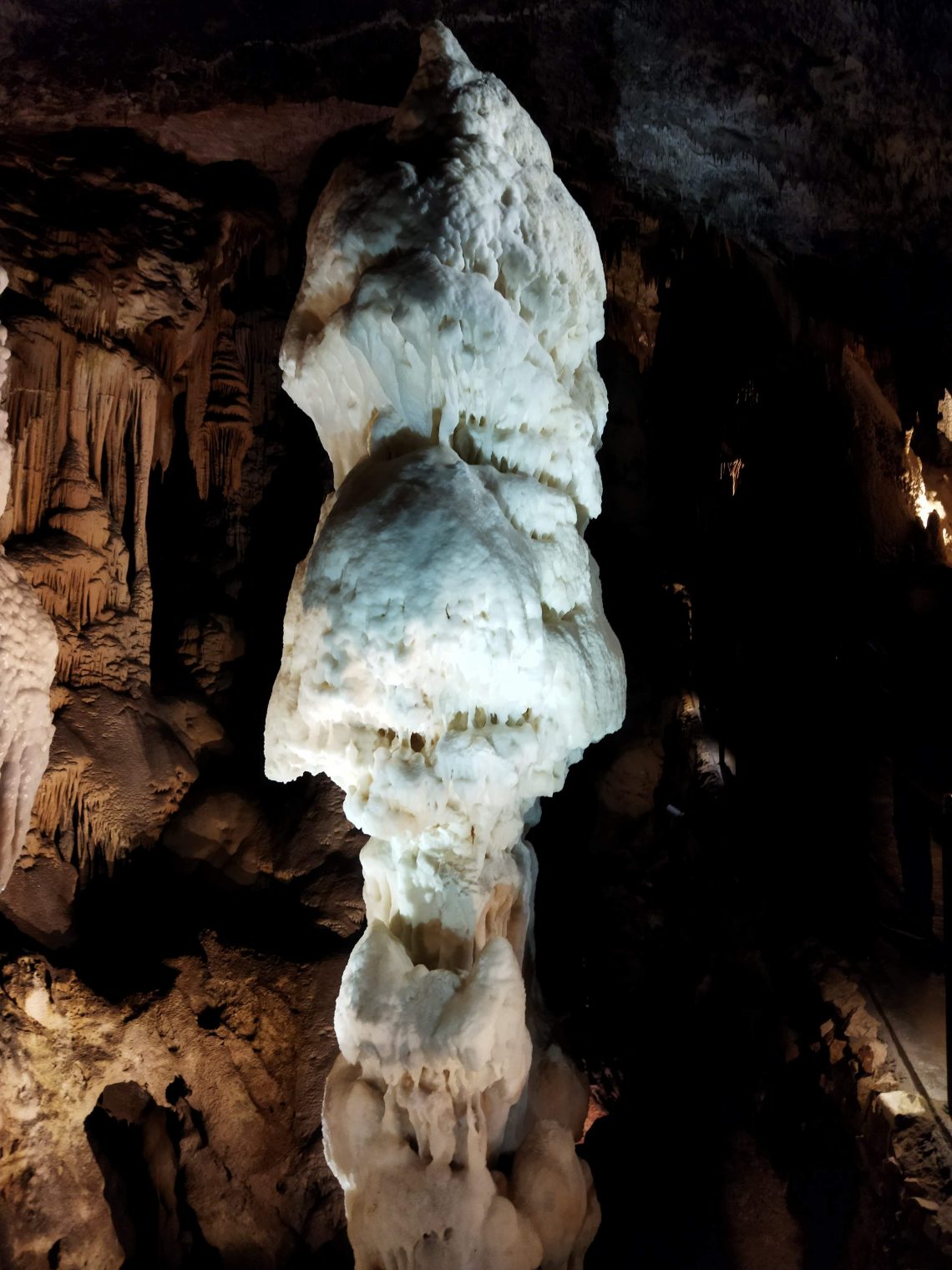 Postojna mağarası ve olm - Slovenya'nın iki mücevheri - Geç Kalmış Yolcu
